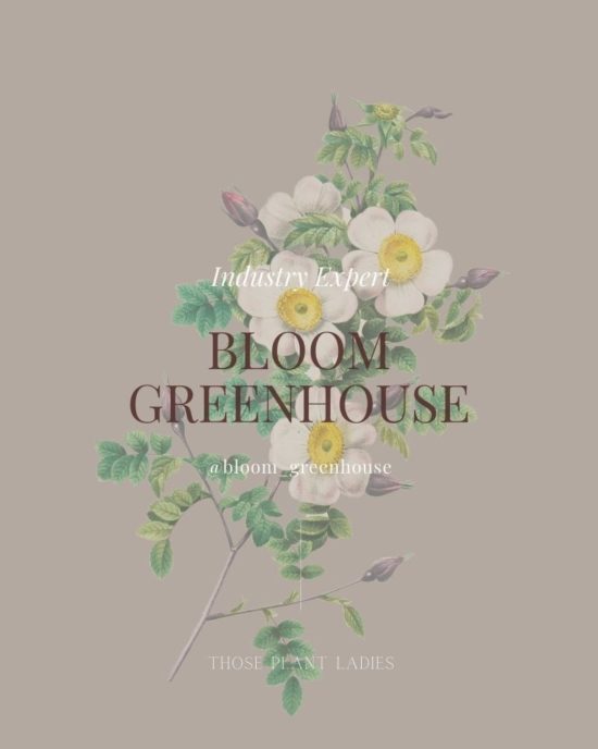 BLOOM GREENHOUSE | Inspirational Greenhouse in Oklahoma - blog ...
