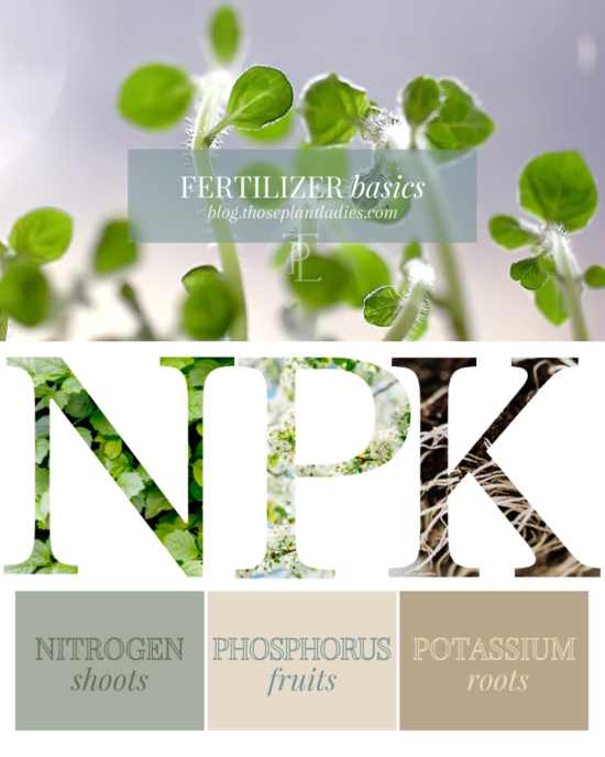 Fertilizer 101: N-P-K - blog.thoseplantladies.com