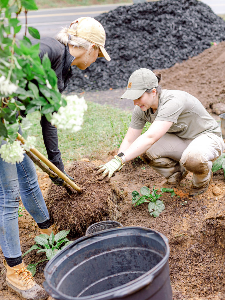 How to: Correctly Install a Plant in Your Landscape (with a free ...